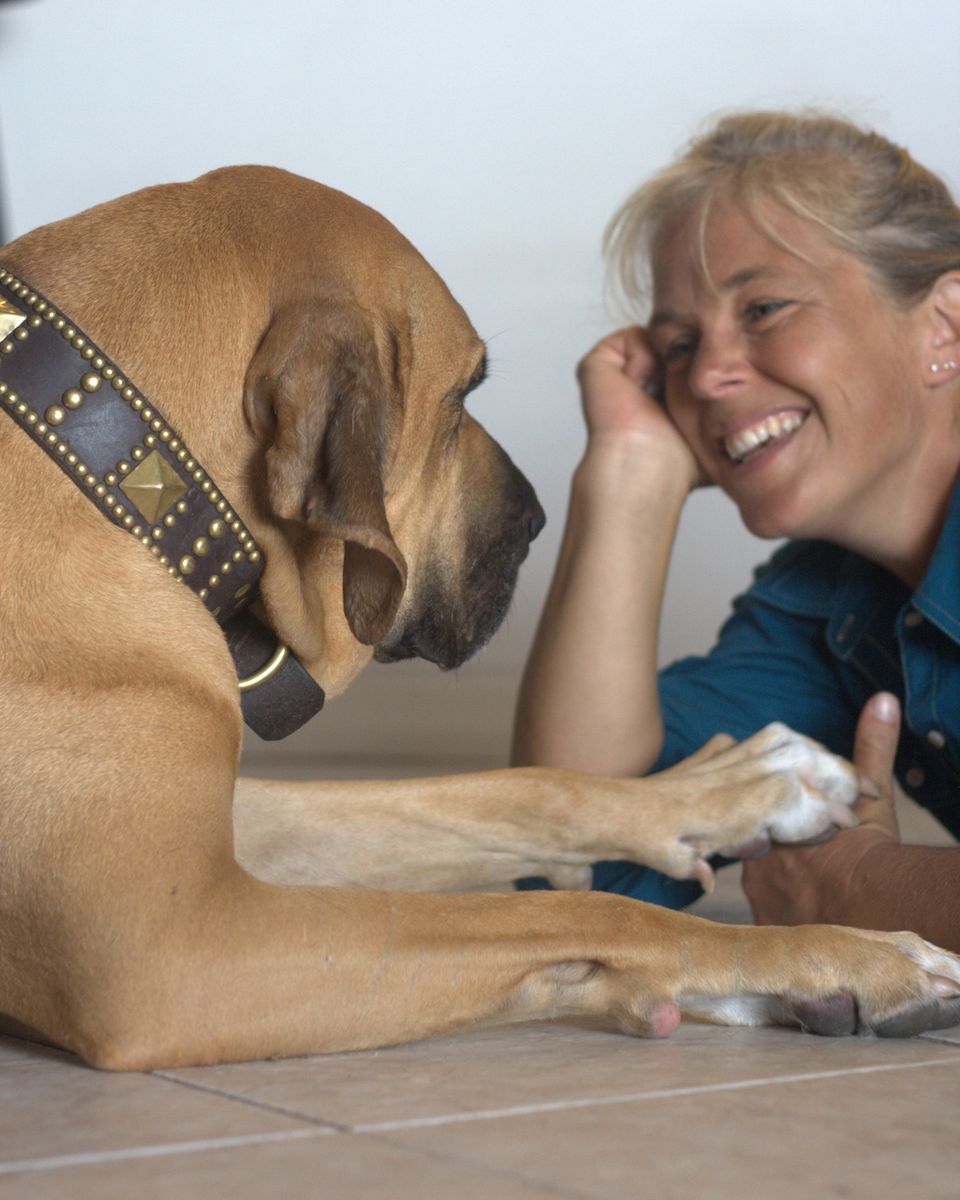 Dog Training Routines | Train Your Dog with Bayshore Dog Training in ...